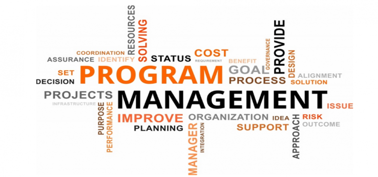 Program Management – The R Group